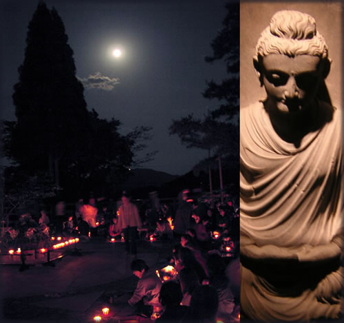 Planet Waves | Buddha Moon World | by Paloma Todd